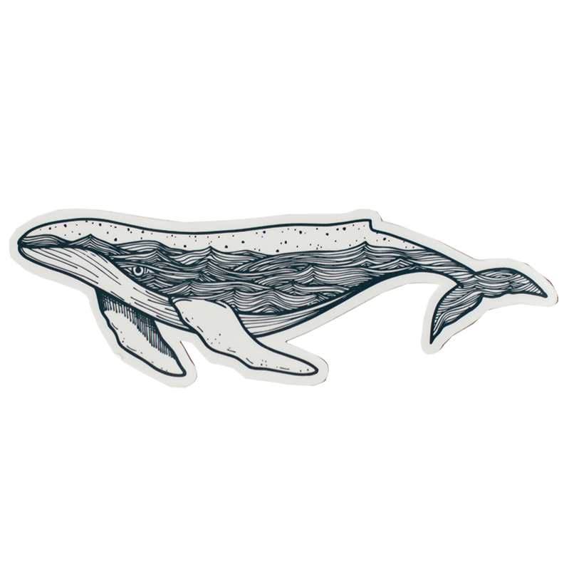 Humpback Whale Sticker – Red Umbrella Designs